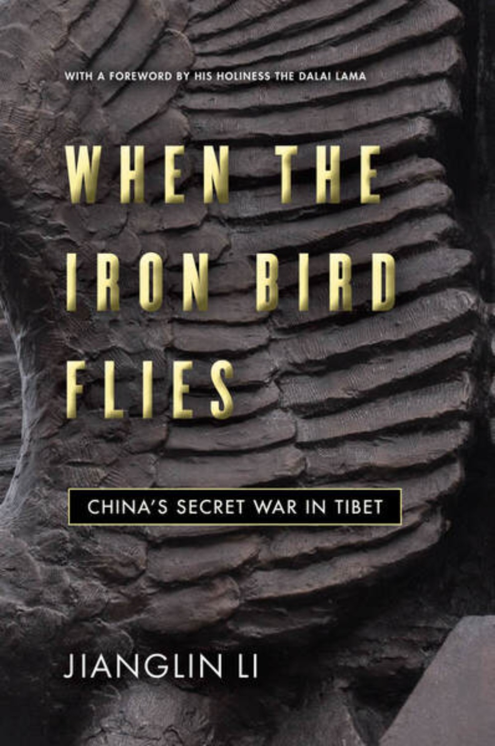 When the Iron Bird Flies by Jianglin Li - Bernstein Literary Agency